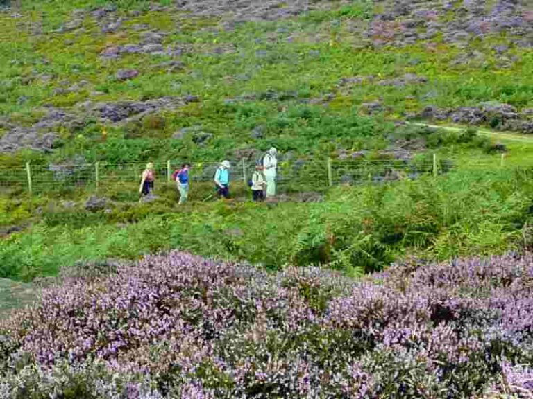 Birchover and Stanton Moor Walk | Nine Ladies Stone Circle