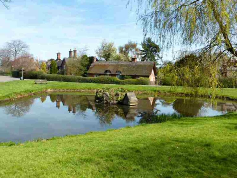 Osmaston Park Walk | Shirley | Osmaston Park | Polo Ground