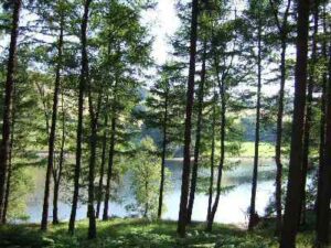 Ladybower Walk | Derwent Reservoir | Howden Reservoir