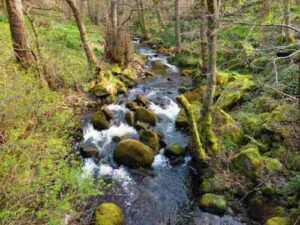 Eyam | mompesson's Well | Riley Graves | Plague Village